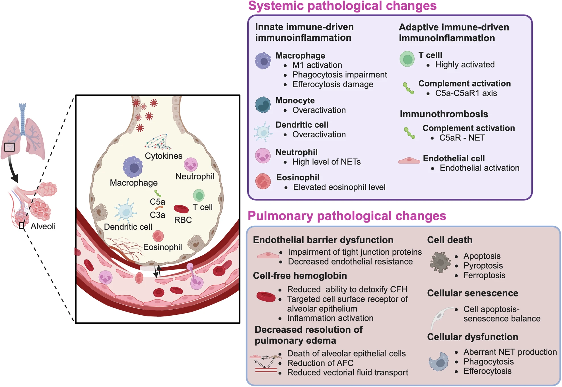 Advances in acute respiratory distress syndrome: focusing on ...
