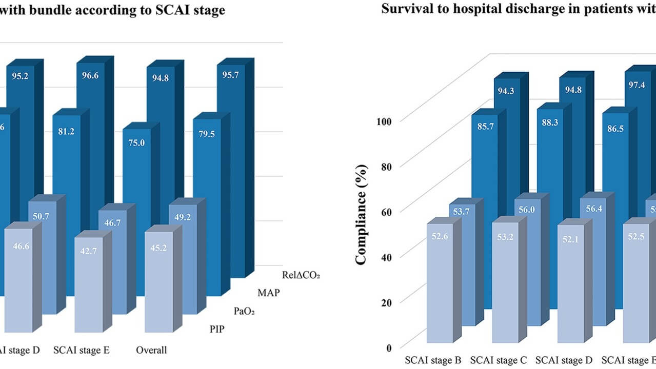 A simple VA-ECMO bundle in adult patients with cardiogenic shock: an ...